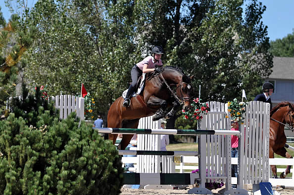Griffis Group Joins The Colorado Horse Park for a Summer of Equestrian ...