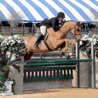 Jennifer Alfano Guides Sting to Comeback during HITS Ocala I - Horses ...