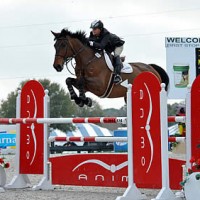 Tracy Fenney Wins Her Third Grand Prix at HITS Ocala to Qualify for the ...