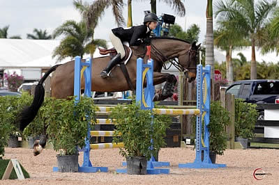 Egypt’s Nayel Nassar and Lordan Win $15,000 Artisan Farms Young Rider ...
