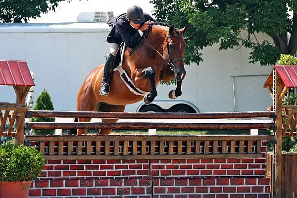 Hunt Tosh and Rosalynn Repeat Excellence for Double Blue Ribbons at ...