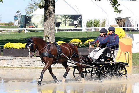 Hemmingway and Shelly Temple Win at Kentucky Classic CDE - Horses in ...