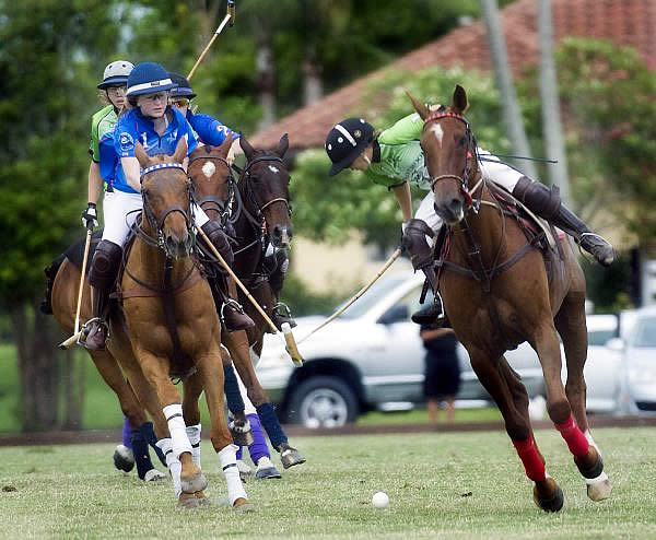 Grand Champions Polo Club Hosts Successful Season-Ending Memorial Day ...