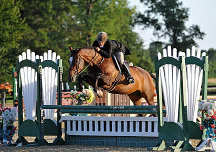 Harold Chopping and Caramo Win Devoucoux Hunter Prix - Horses in the ...