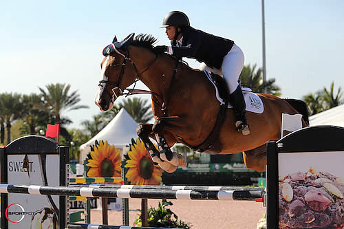 Professional Hunters Crowned as World Champion Hunter Rider Week Gets ...