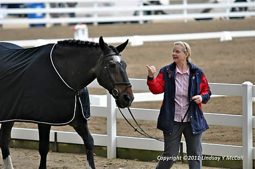 Horse Radio Network Features Para-Equestrian Moms Anna Collier and Tina ...