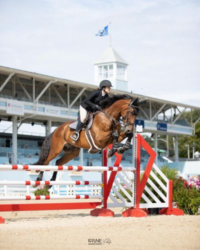 Devon Fall Classic - Horses in the South - An Equine News Publisher